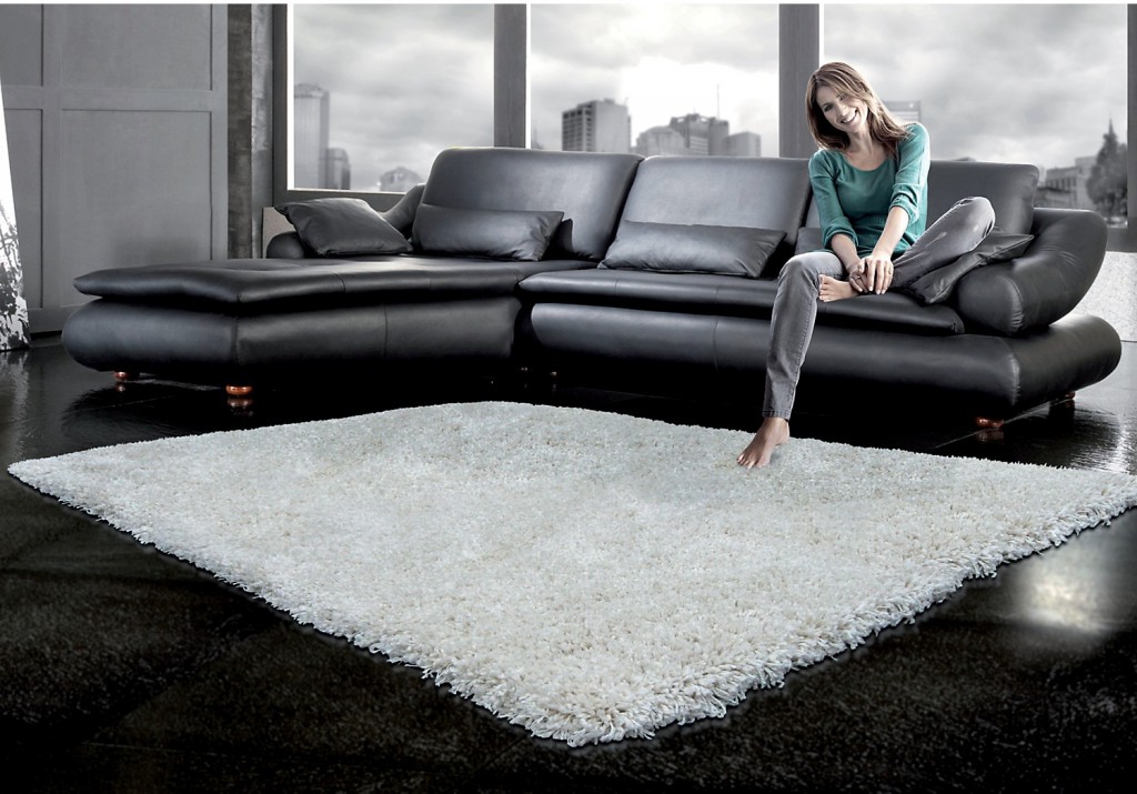 BEST 10 ADORABLE SHAG AREA RUGS FOR CHIC LIVING ROOM - Interior Design ...