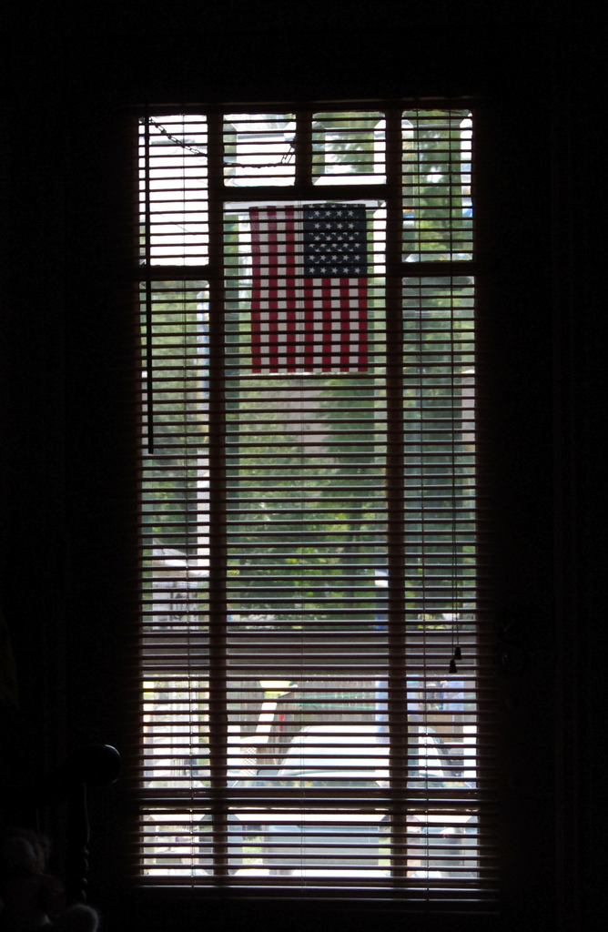 front door blinds - Interior Design Inspirations